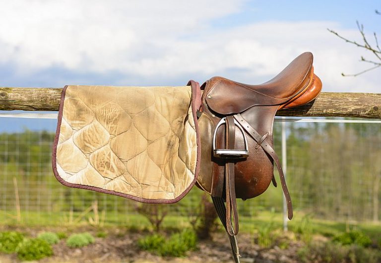 Saddle Pad 101: Best Western Picks, Materials & Shapes for a Happy Horse