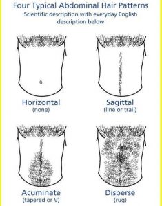 Guys, Let Your Happy Trail Be: Here's Why!